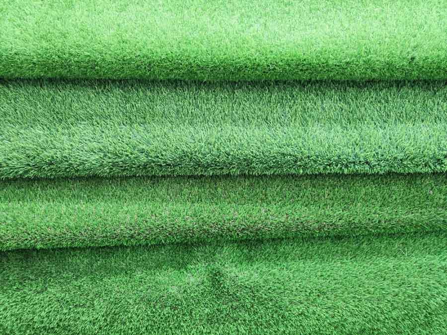 Cele mai cunoscute tipuri de gazon și ce trebuie să știi despre el